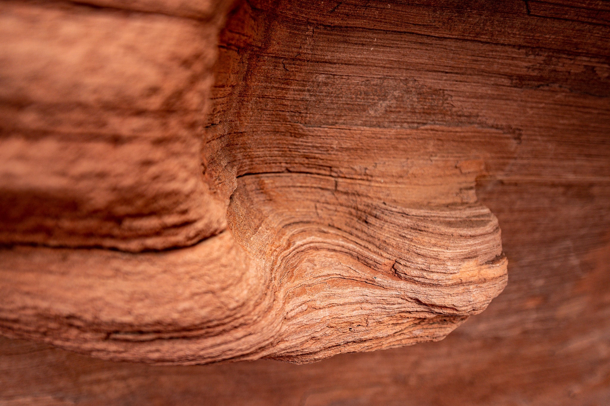 Sedimentary Rock Curves – Visiting This World
