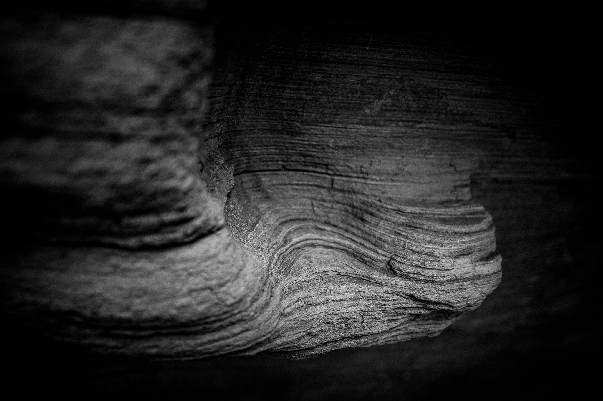 Sedimentary Rock Curves in Black and White | Photography Art – Visiting ...